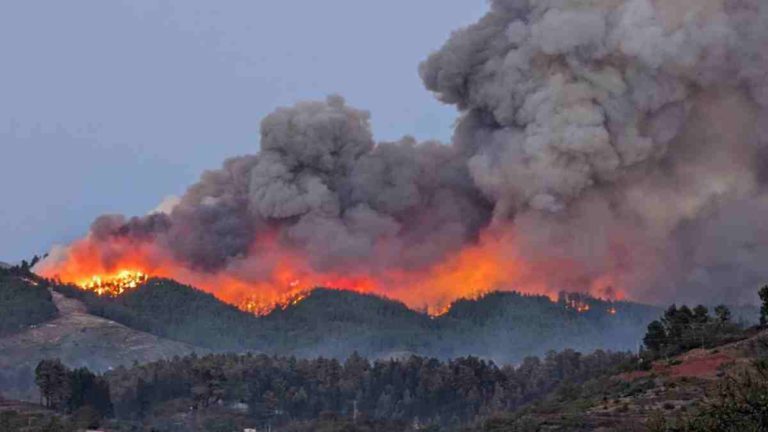 Spain Wildfire: Over 2,500 Evacuated following Fire on La Palma Island ...