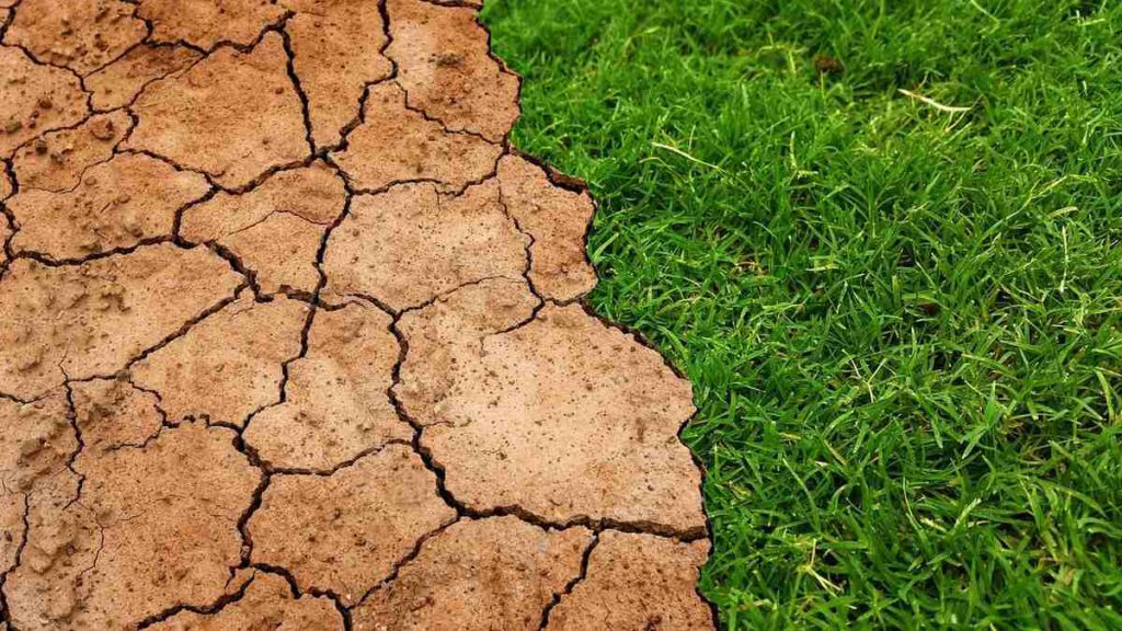 Uruguay: Millions Struggle with Drought's Impact on Drinking Tap Water ...